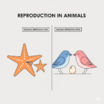 NCERT And Oxford Math And Science Solution-Mathscience.in