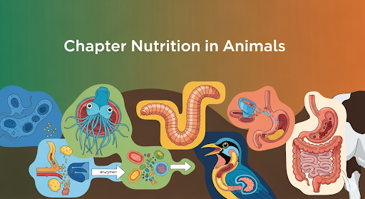 Master Class 7 Science Chap 2 Nutrition In Animals Oxford
