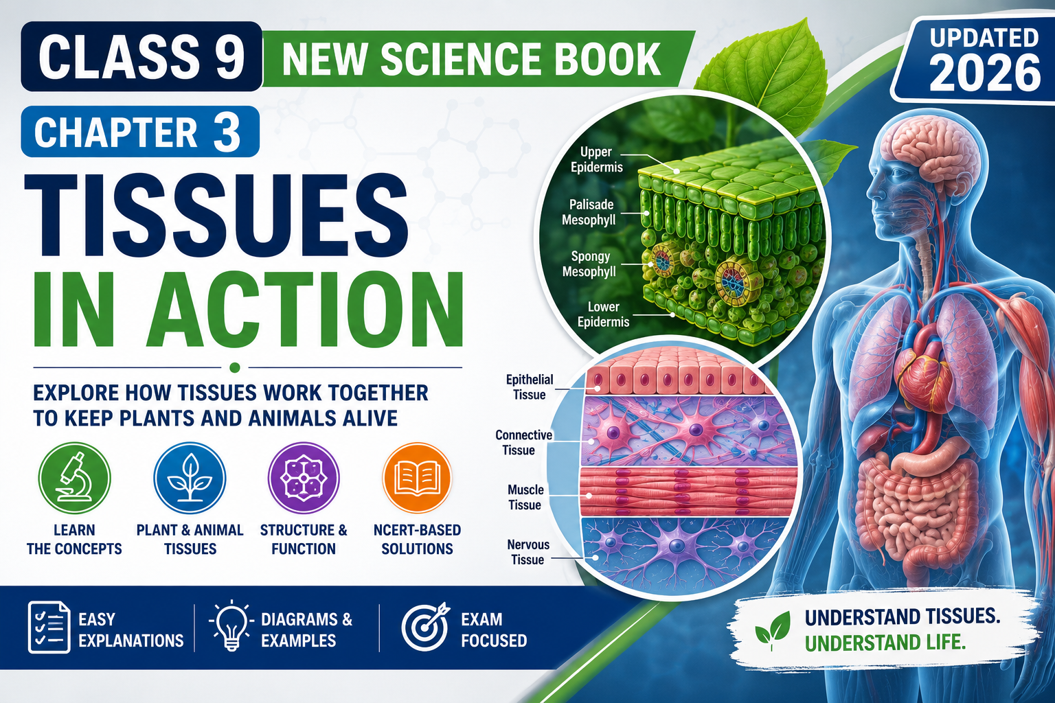 Class 9 New Science Book 2026 Ch3 Tissues In Action